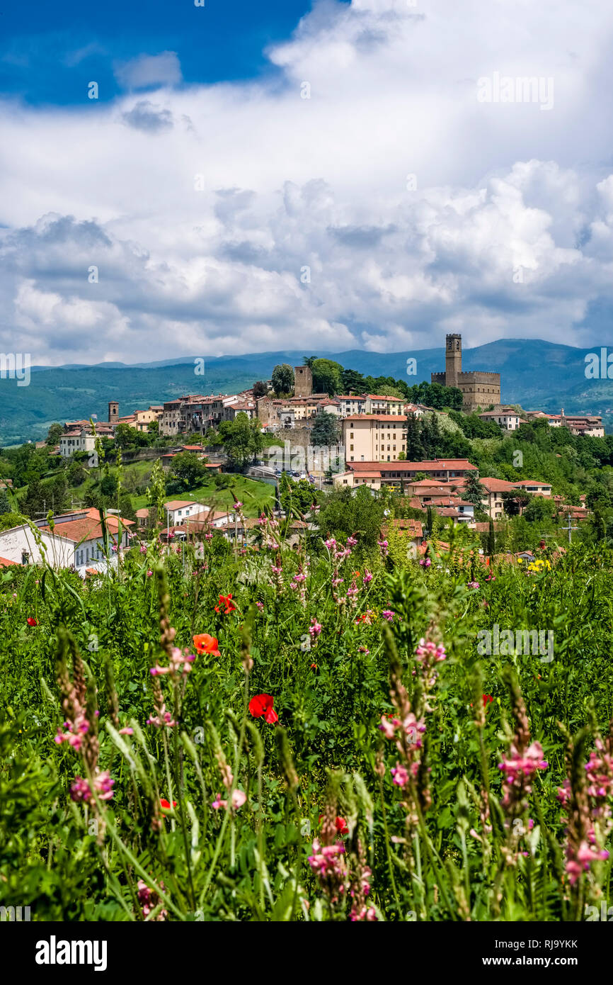 Typical hilly Tuscan countryside with fields and trees, the medieval ...
