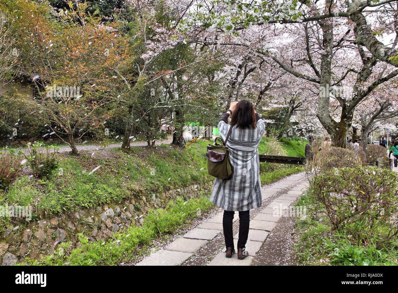 Kyoto, Japan - Philosopher's Walk, a hiking path famous for its cherry ...
