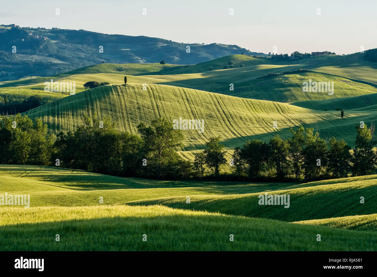 Typical rural fields and landscape in tuscany italy hi-res stock ...