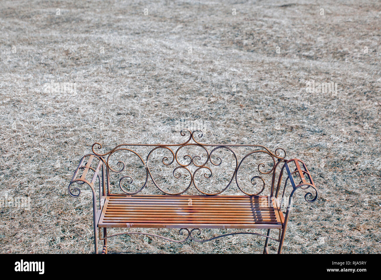 Filigree rusty park bench in front of meadow area hi-res stock ...