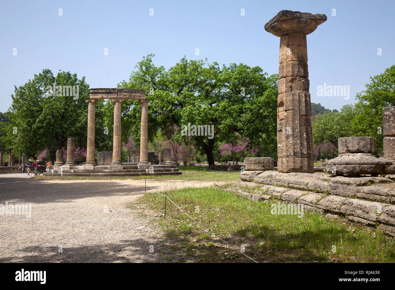 two pillar types in the historical site of Olympia Stock Photo - Alamy