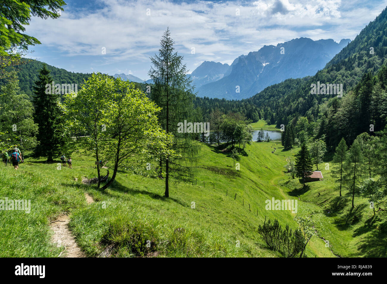 Deutschland, Bayern, Bayerische Alpen, Mittenwald, Wanderer im Abstieg ...
