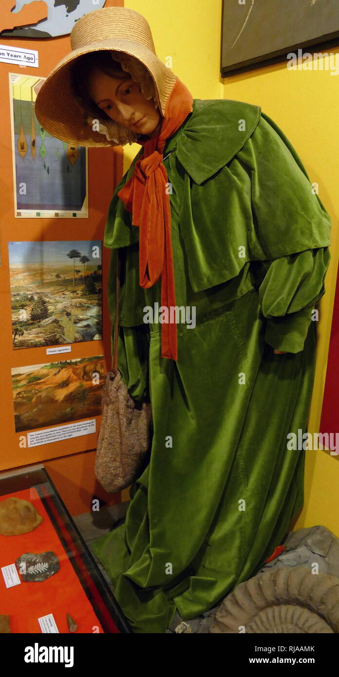 Mary anning hi-res stock photography and images - Alamy