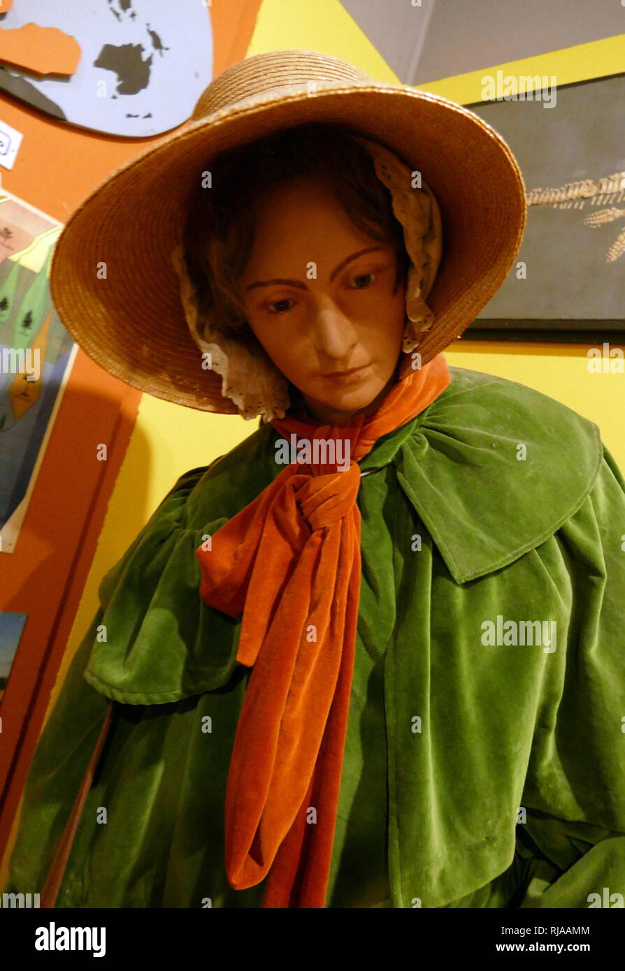 Mary anning hi-res stock photography and images - Alamy