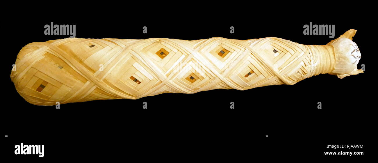 Reconstruction of a mummified cat from Bubastis, Egypt. Used in tombs ...