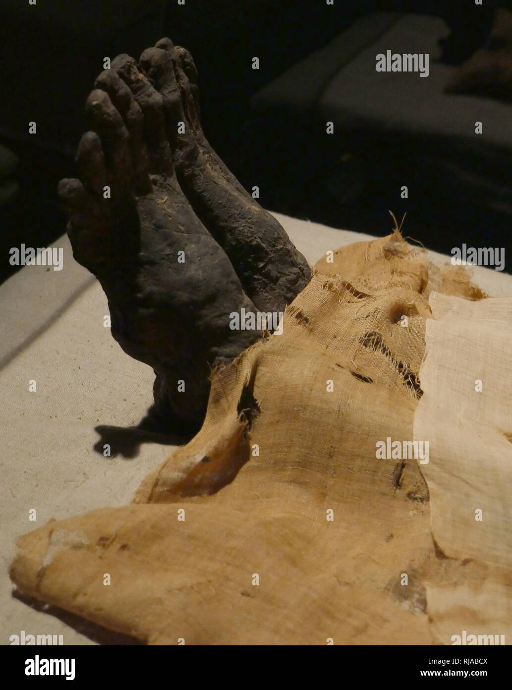 Ramesses Mummy High Resolution Stock Photography and Images - Alamy