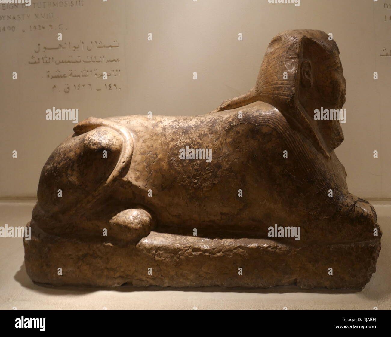 Egyptian pharaoh thutmose iii hi-res stock photography and images - Alamy