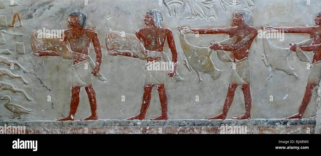 Tomb of Princess Idut, King Unas' daughter. Vth Dynasty. The reliefs ...