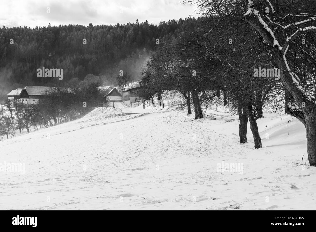 Fall field windy cold Black and White Stock Photos & Images - Alamy