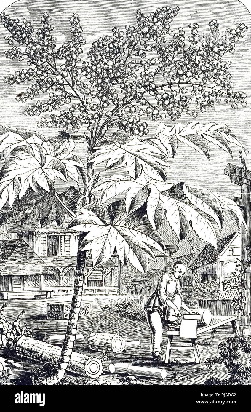 China pulp production hi-res stock photography and images - Alamy