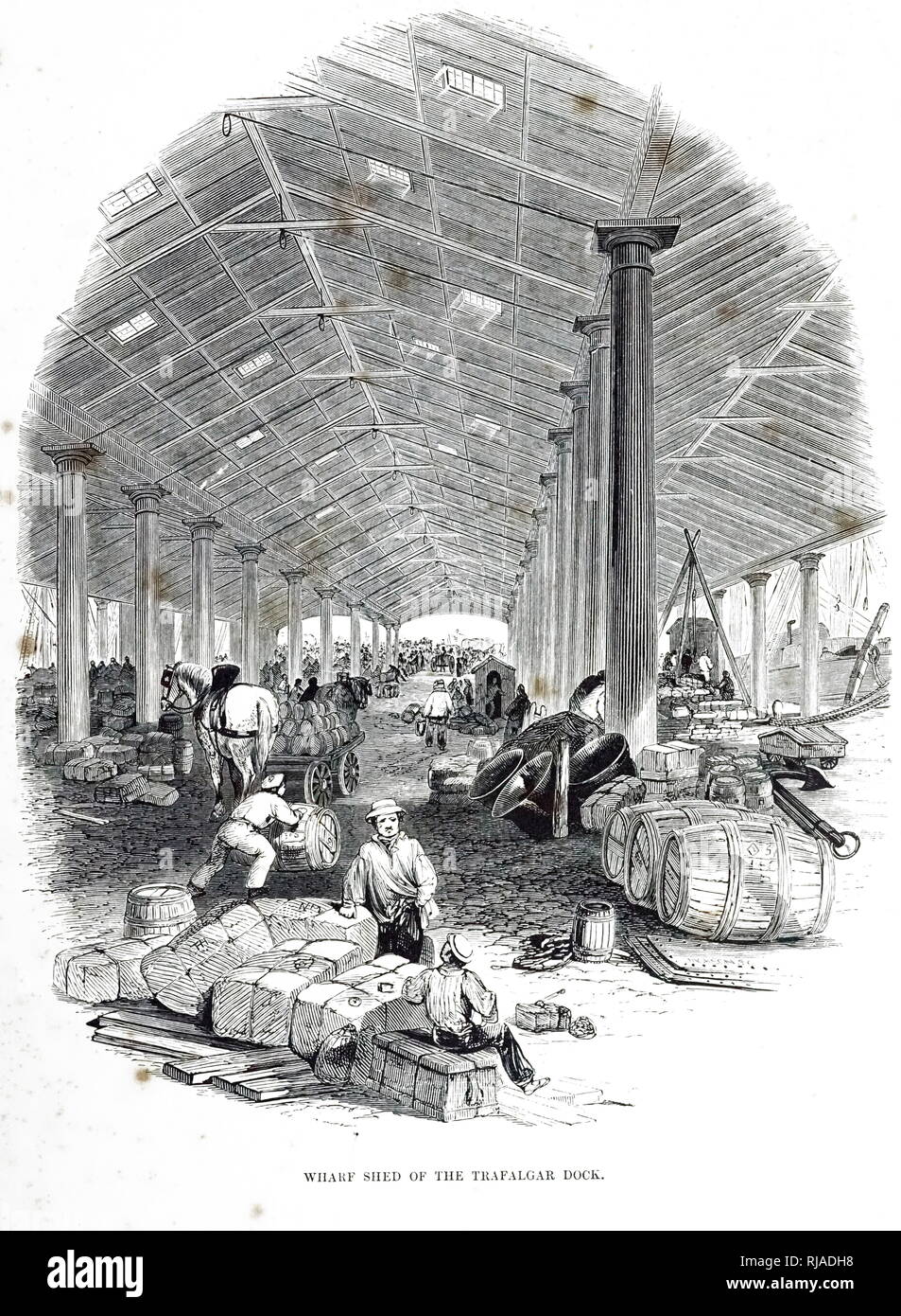 London dock 19th century hi-res stock photography and images - Alamy