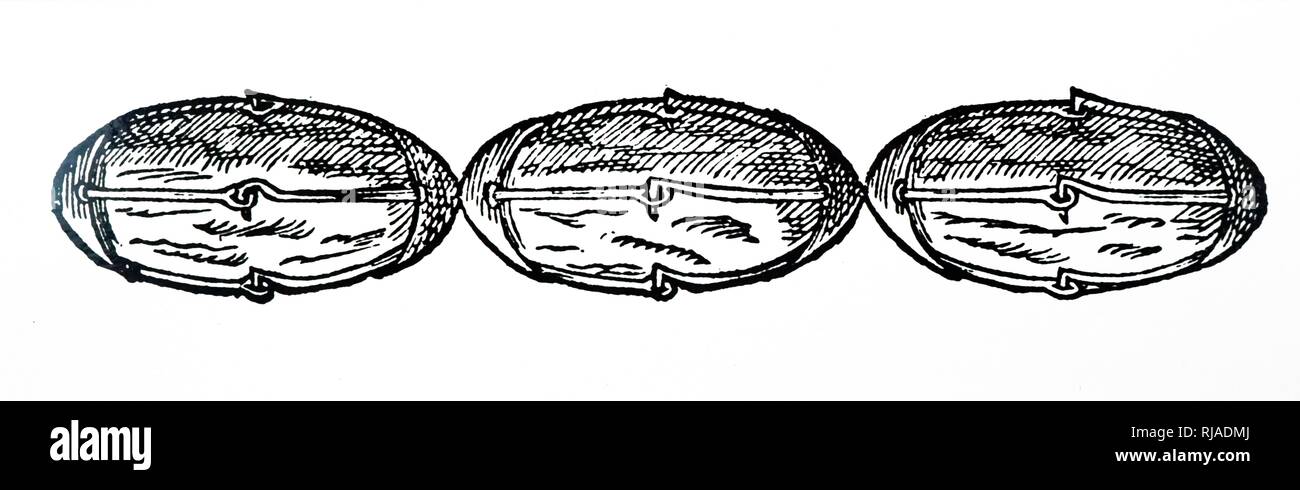 A woodcut engraving depicting lodestones armed with iron caps that ...