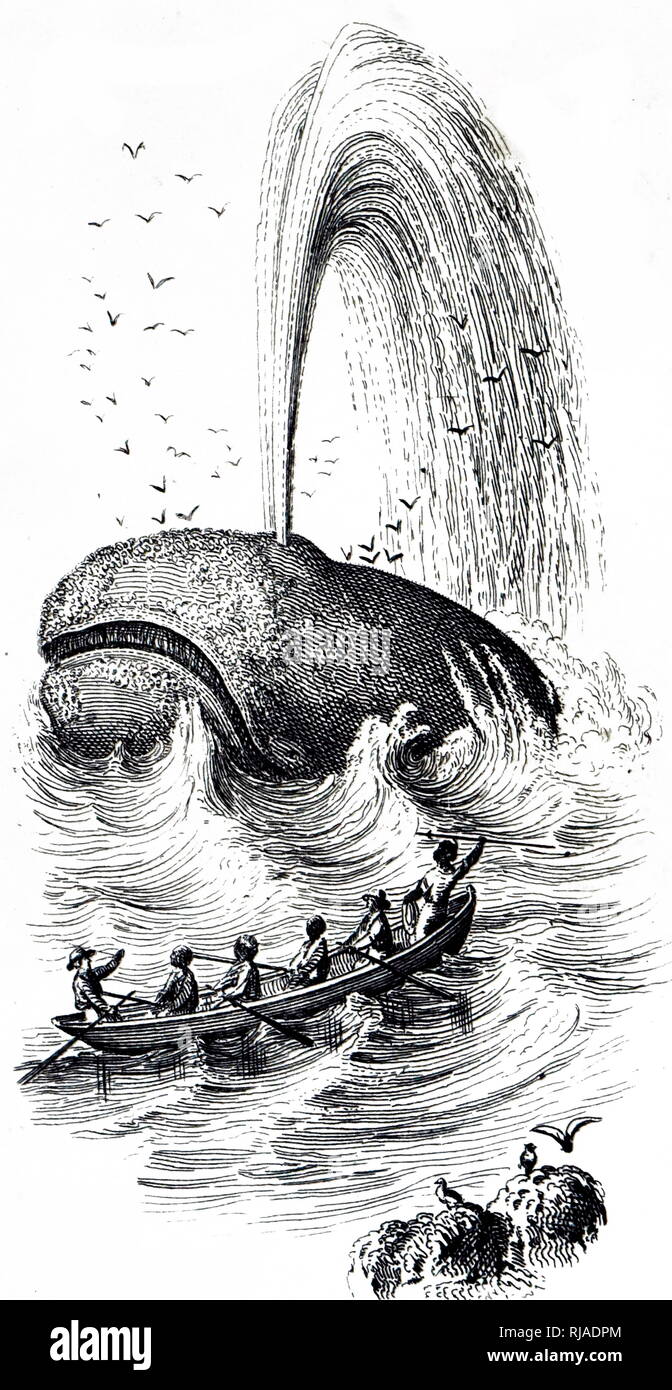 Whaling Harpoon Stock Photos & Whaling Harpoon Stock Images - Alamy