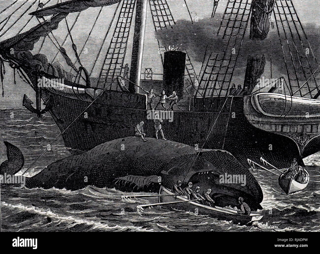 Whaling 19th Century
