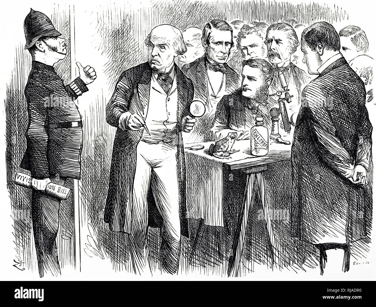 Social Darwinism Political Cartoon Gilded Age