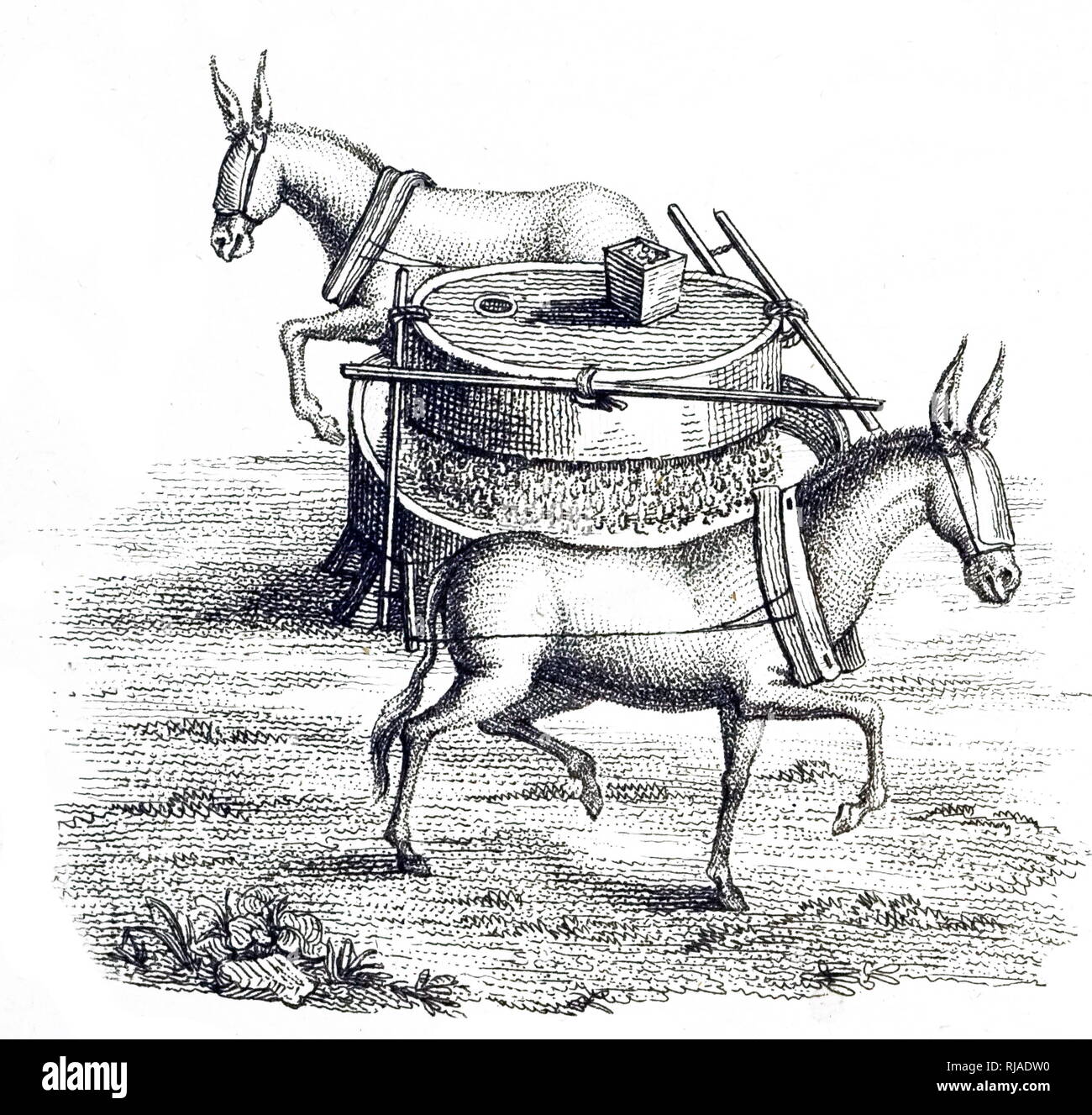 An engraving depicting a rice mill for removing the husk from the ...