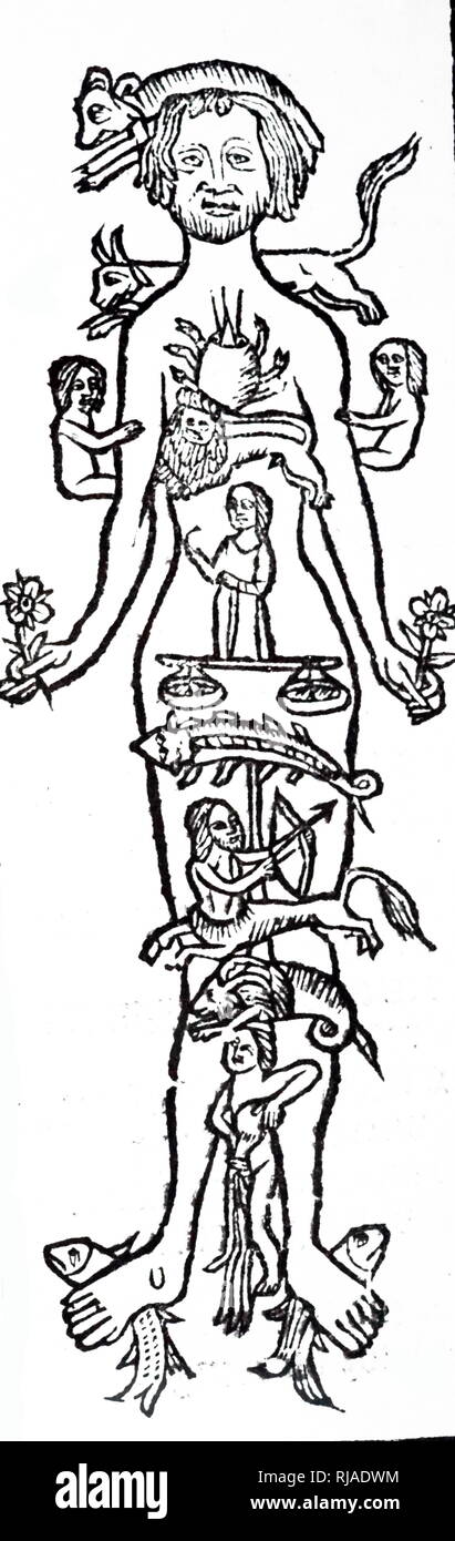 A woodcut engraving depicting a blood-letting man, showing points of ...