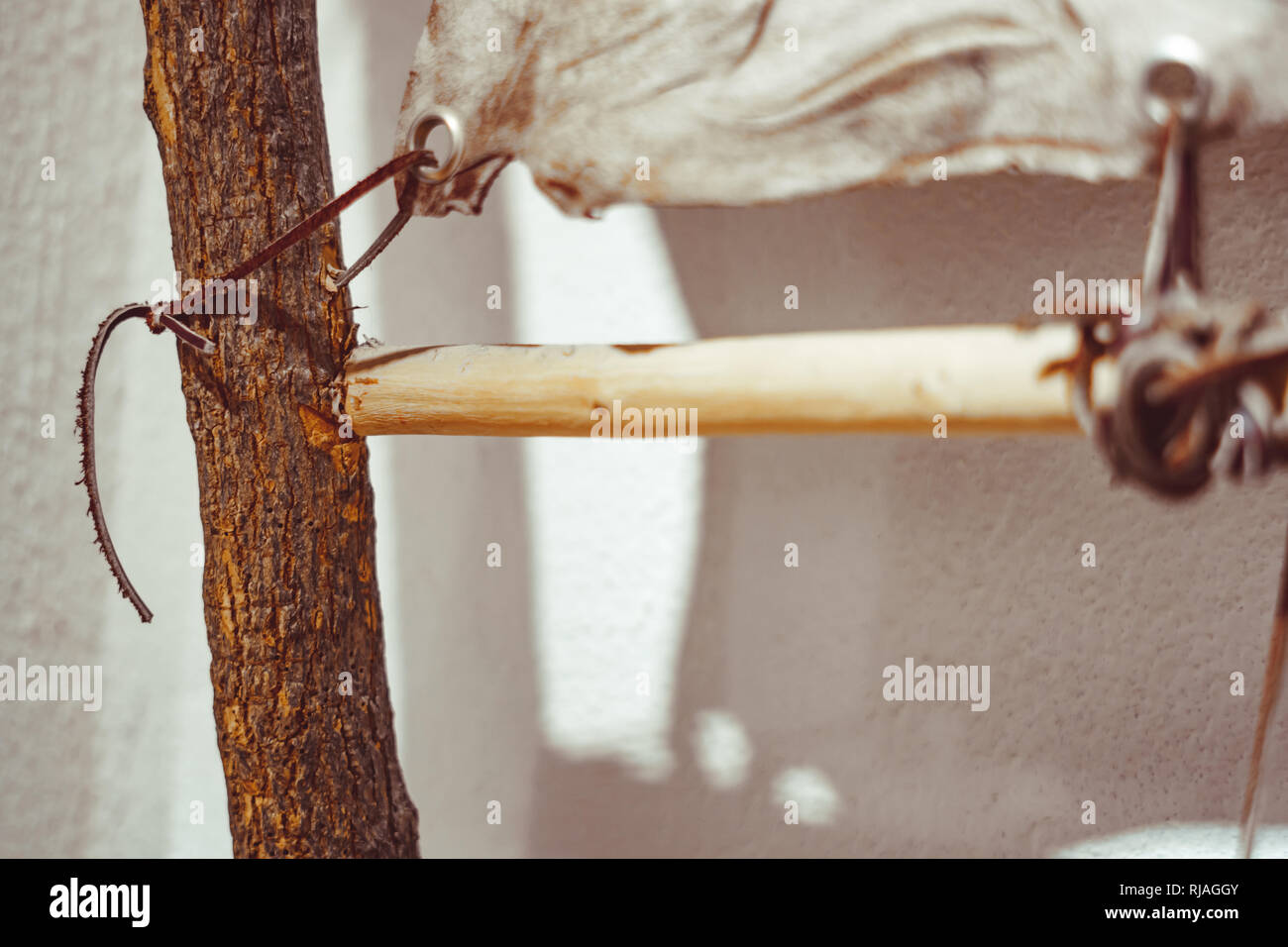 stone ax with wooden handle primitive man, stone age, image and photo ...