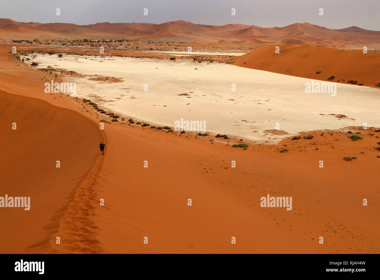 Big Daddy sand dune Sossusvlei - Namibia Africa Stock Photo - Alamy