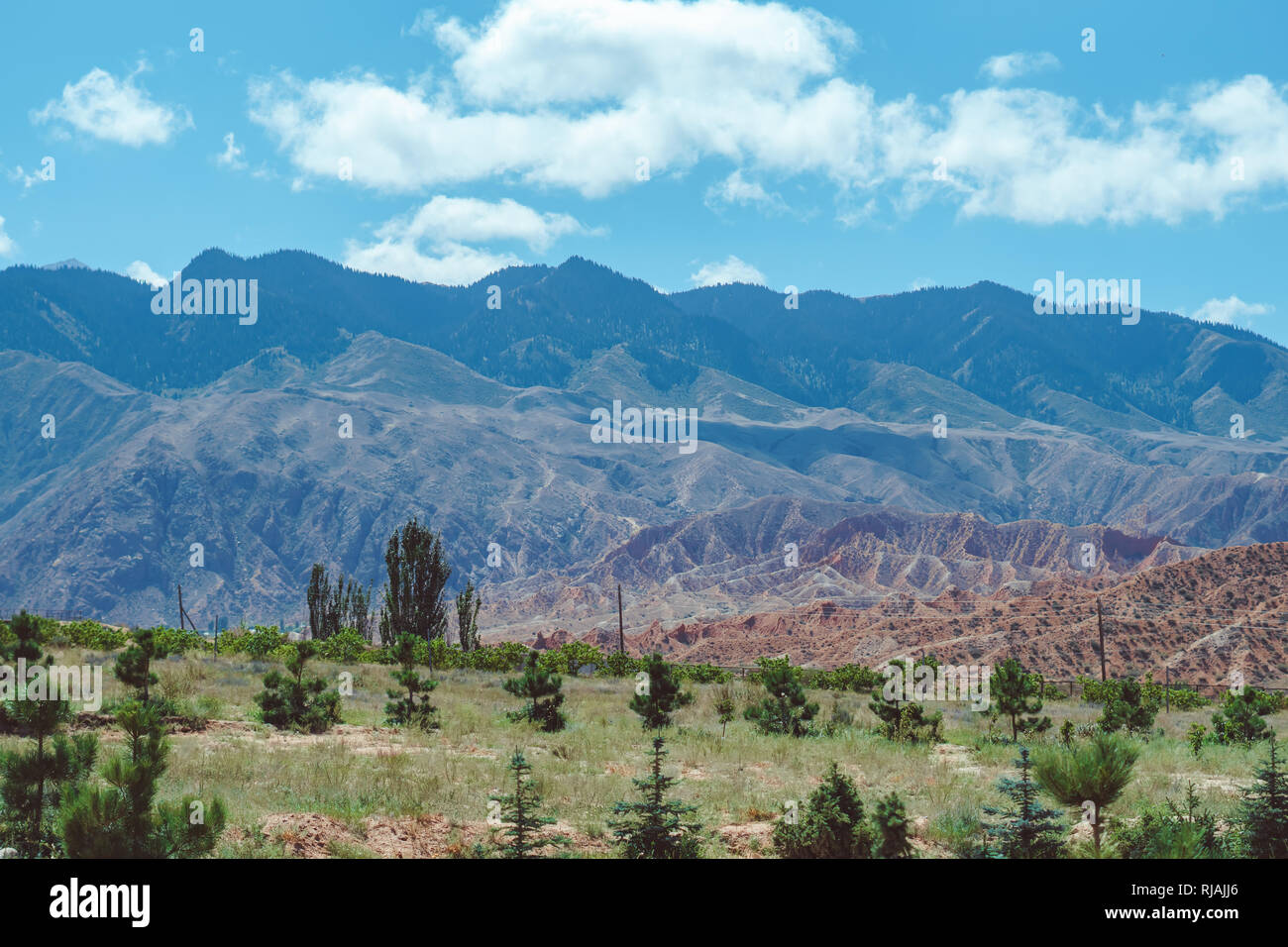 Beautiful mountain treescape hi-res stock photography and images - Alamy