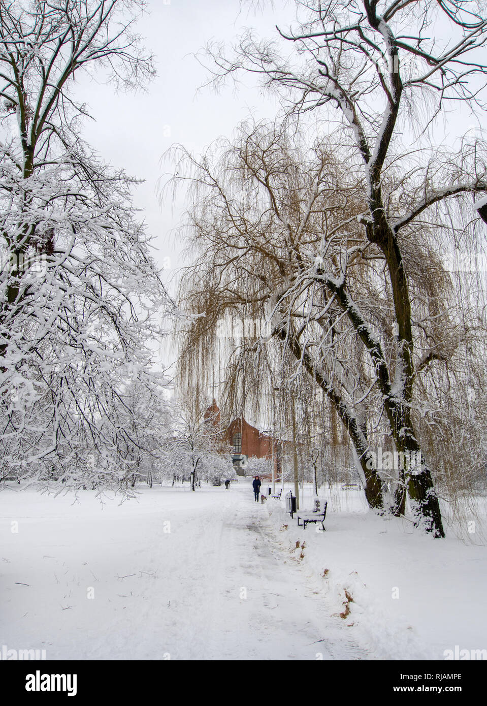 LODZ, POLAND- FEBRUARY 4th 2019: The Parish of the Holy Trinity in Lodz ...