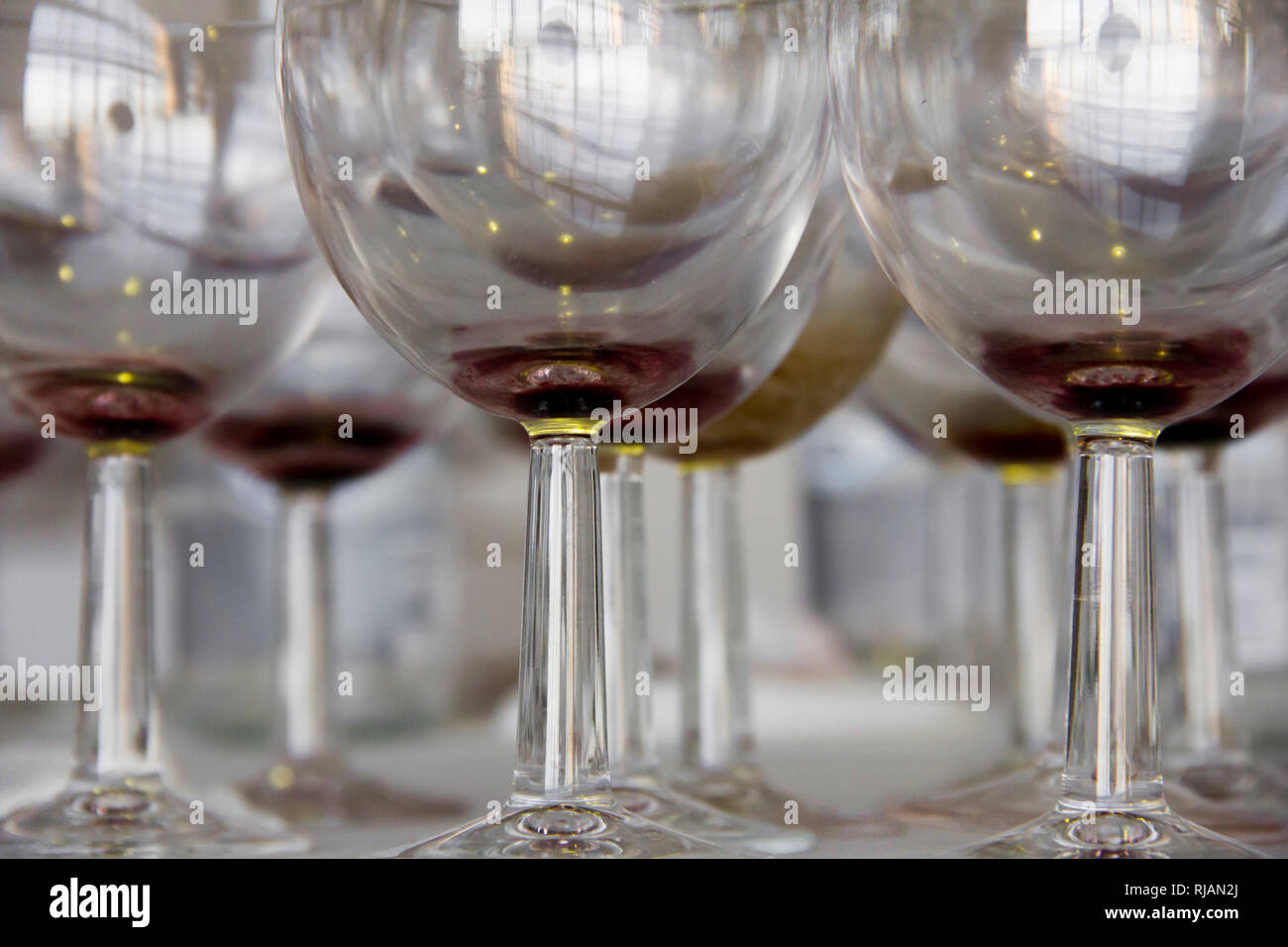 Wine glasses and bottles on the table after the exhibition opening and ...