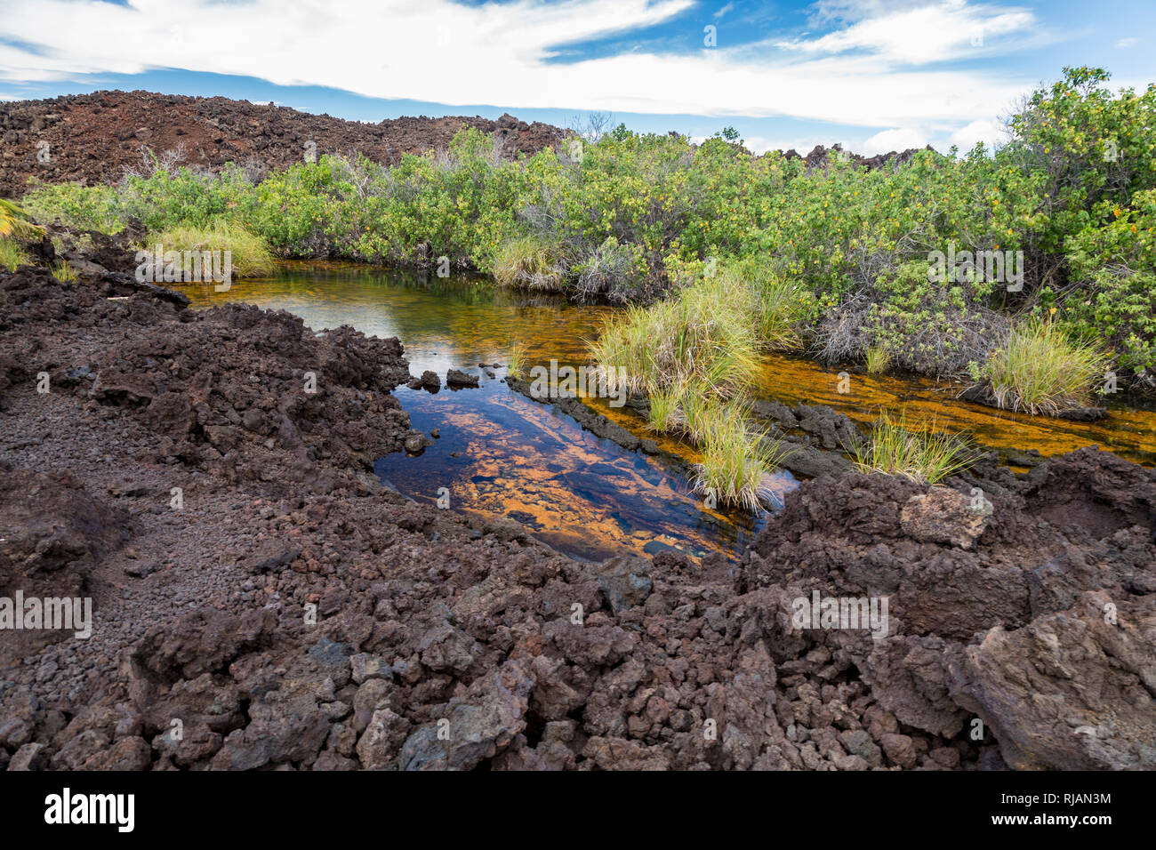Beautiful Golden Pools of Keawaiki Stock Photo - Alamy