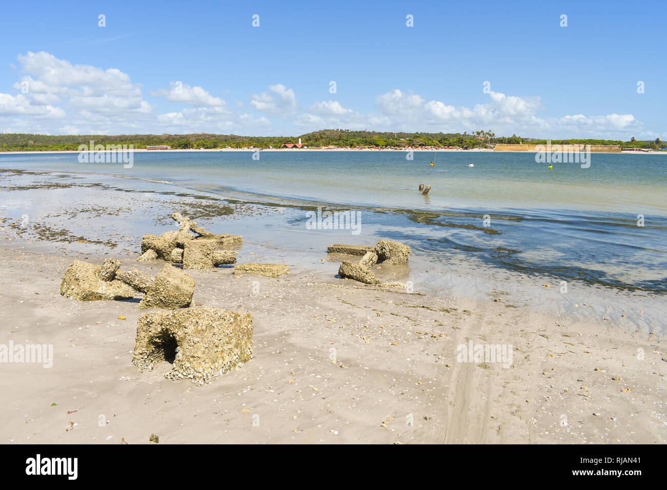 A view from Coroa do Aviao islet - Itamaraca island in the background ...