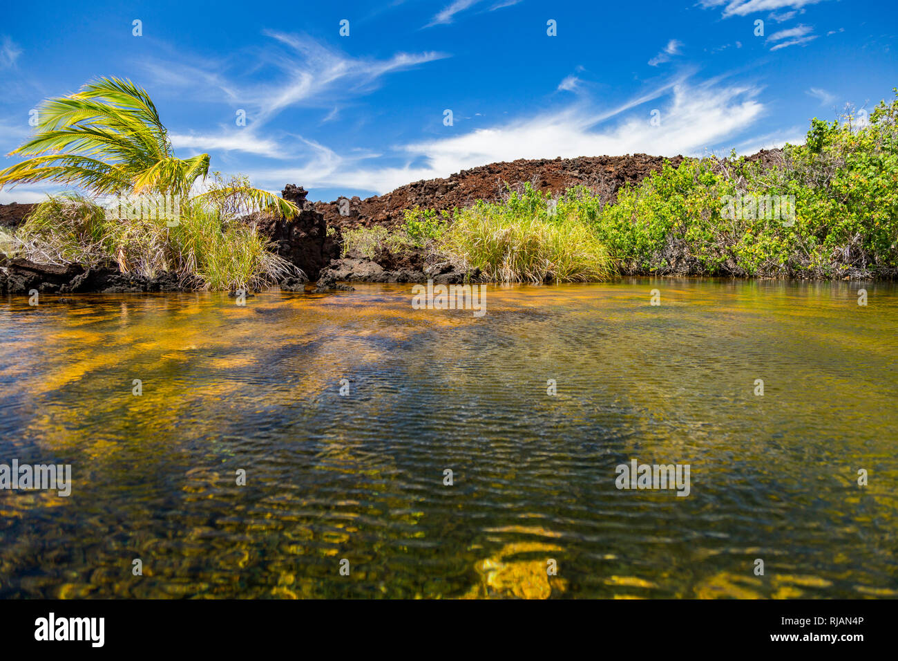 Beautiful Golden Pools of Keawaiki Stock Photo - Alamy