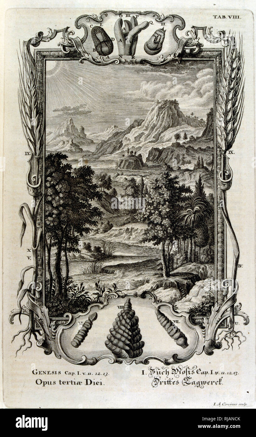 Genesis creation hi-res stock photography and images - Alamy