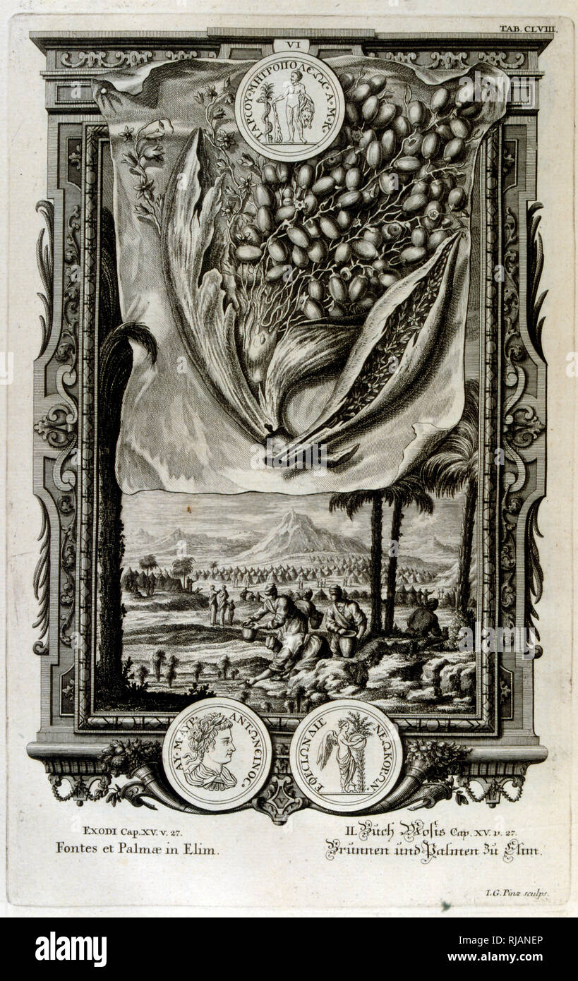 Elim hi-res stock photography and images - Alamy