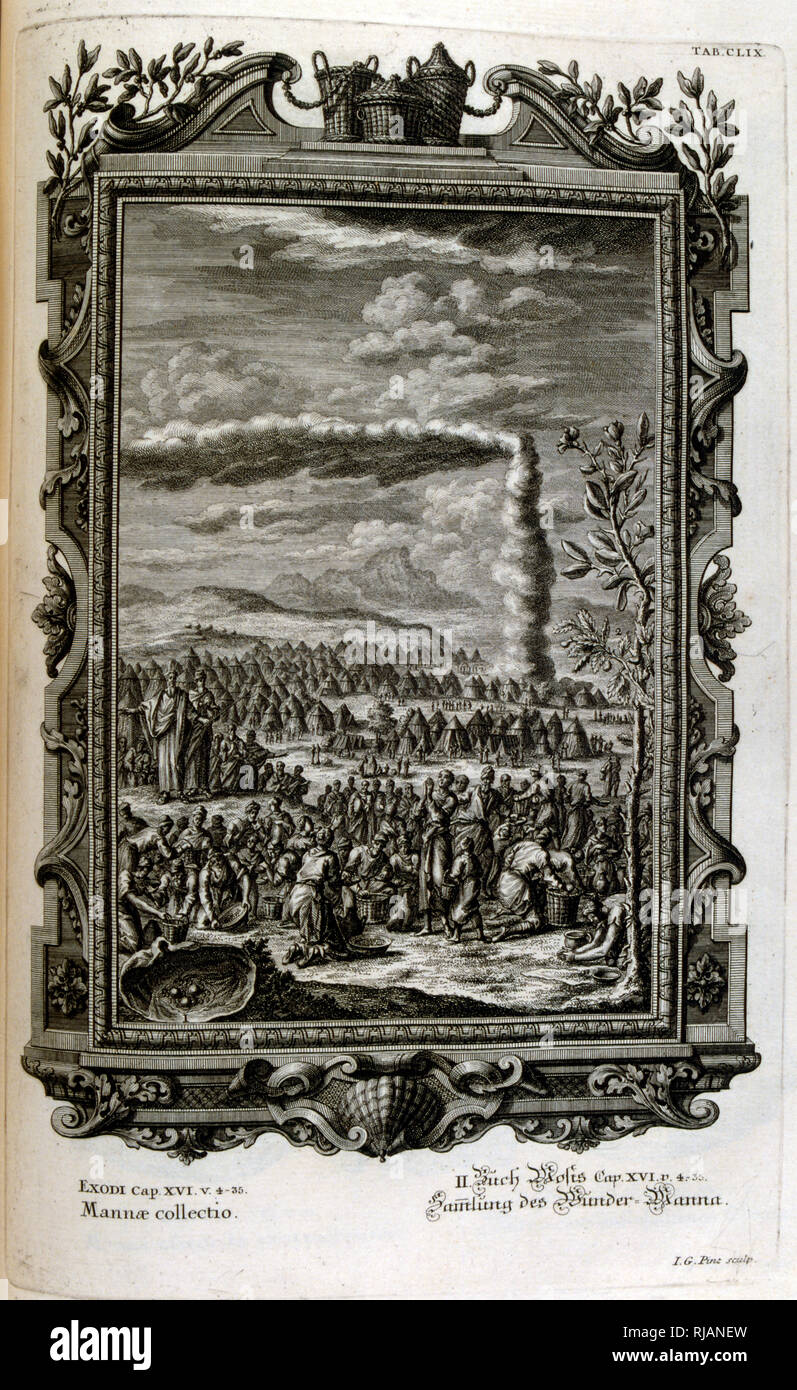 Collection of Manna, according to the Hebrew Bible, when the Israelites ...