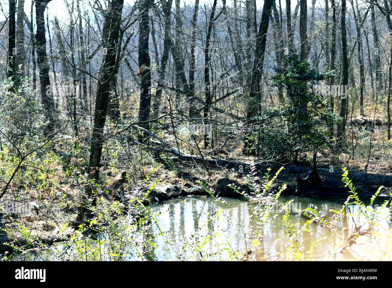 Spring fed pond hi-res stock photography and images - Alamy
