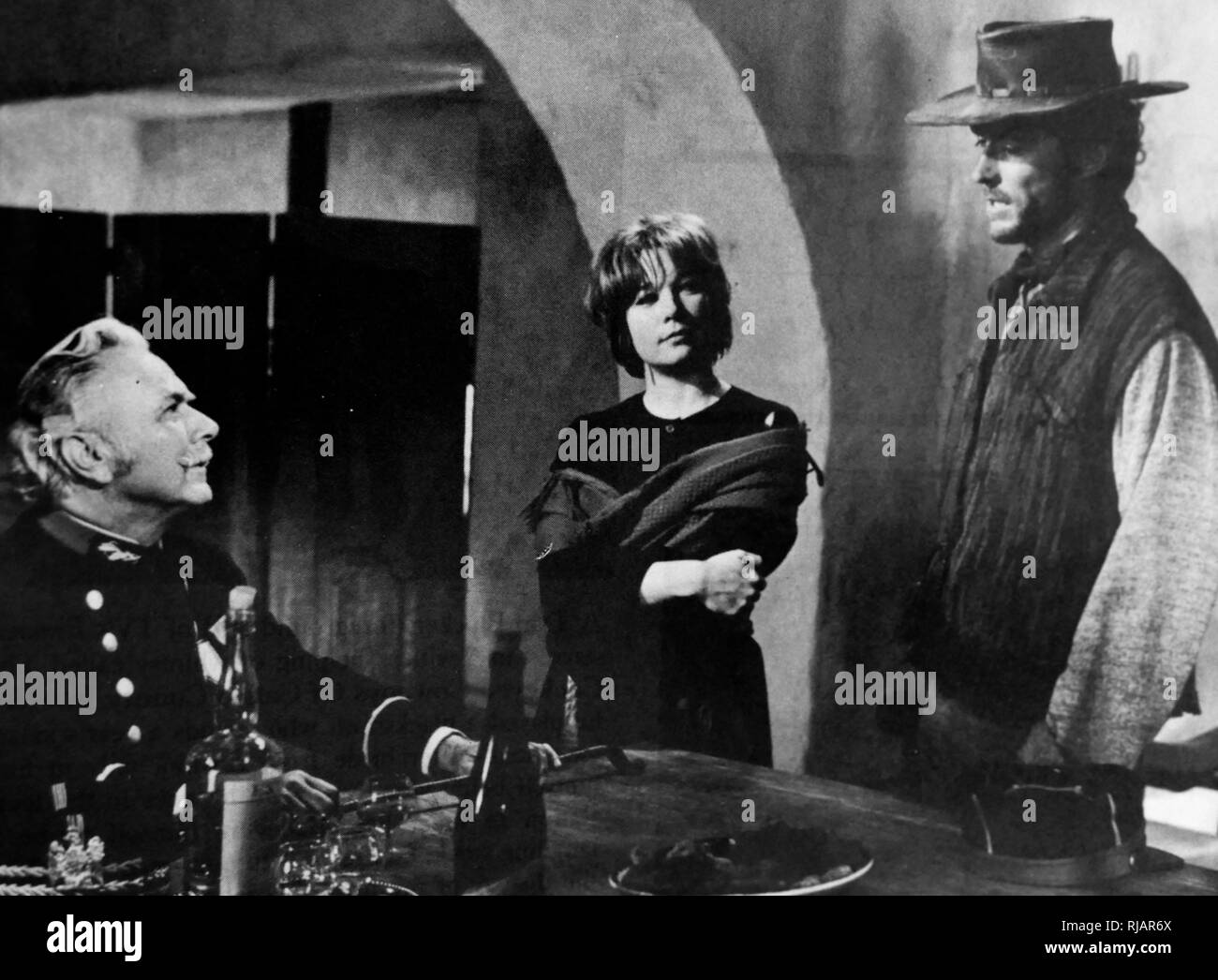 Two mules hi-res stock photography and images - Alamy