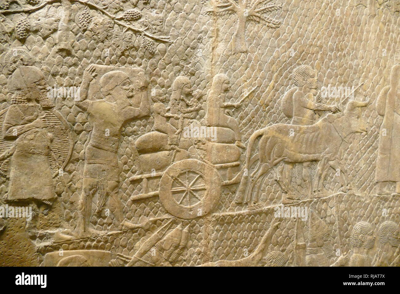 Stone carved relief prisoners captured after attack on lachish assyrian ...