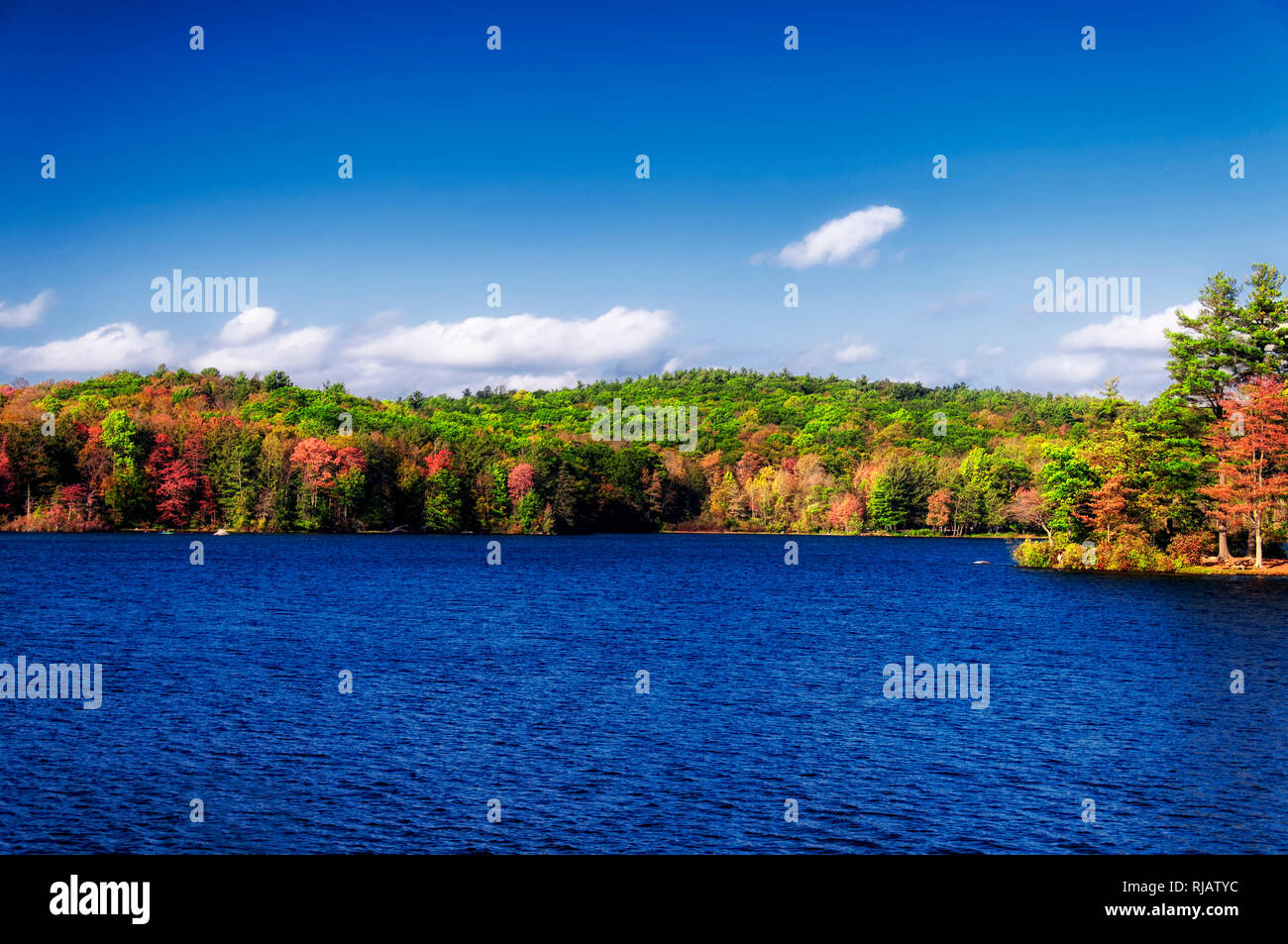 The green and changing colors trees surrounding the blue waters in Burr ...