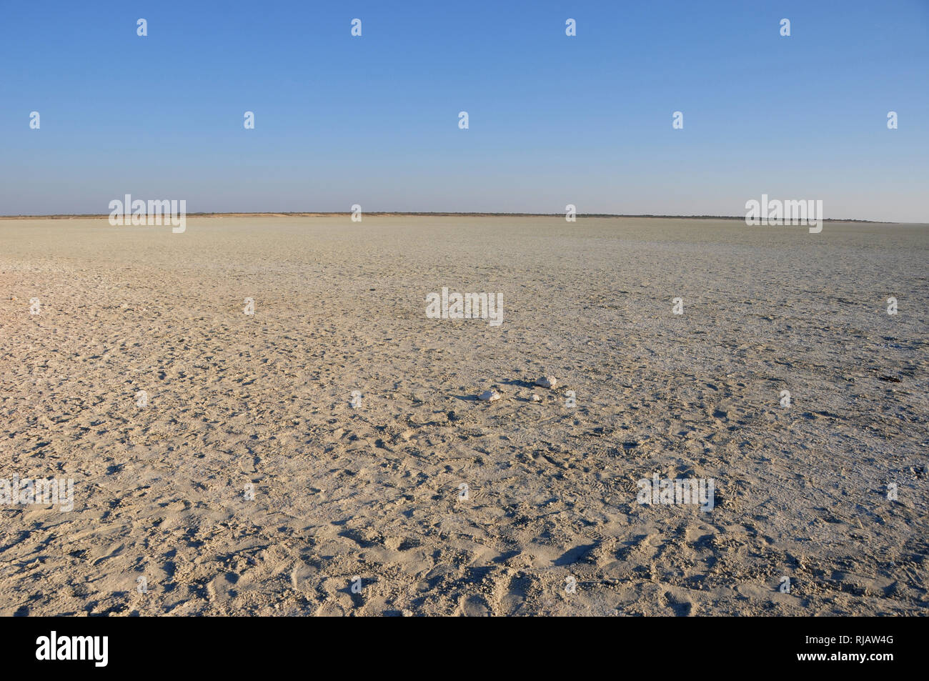 Sand, salt and savannah - the etosha salt pans in Namibia Stock Photo ...