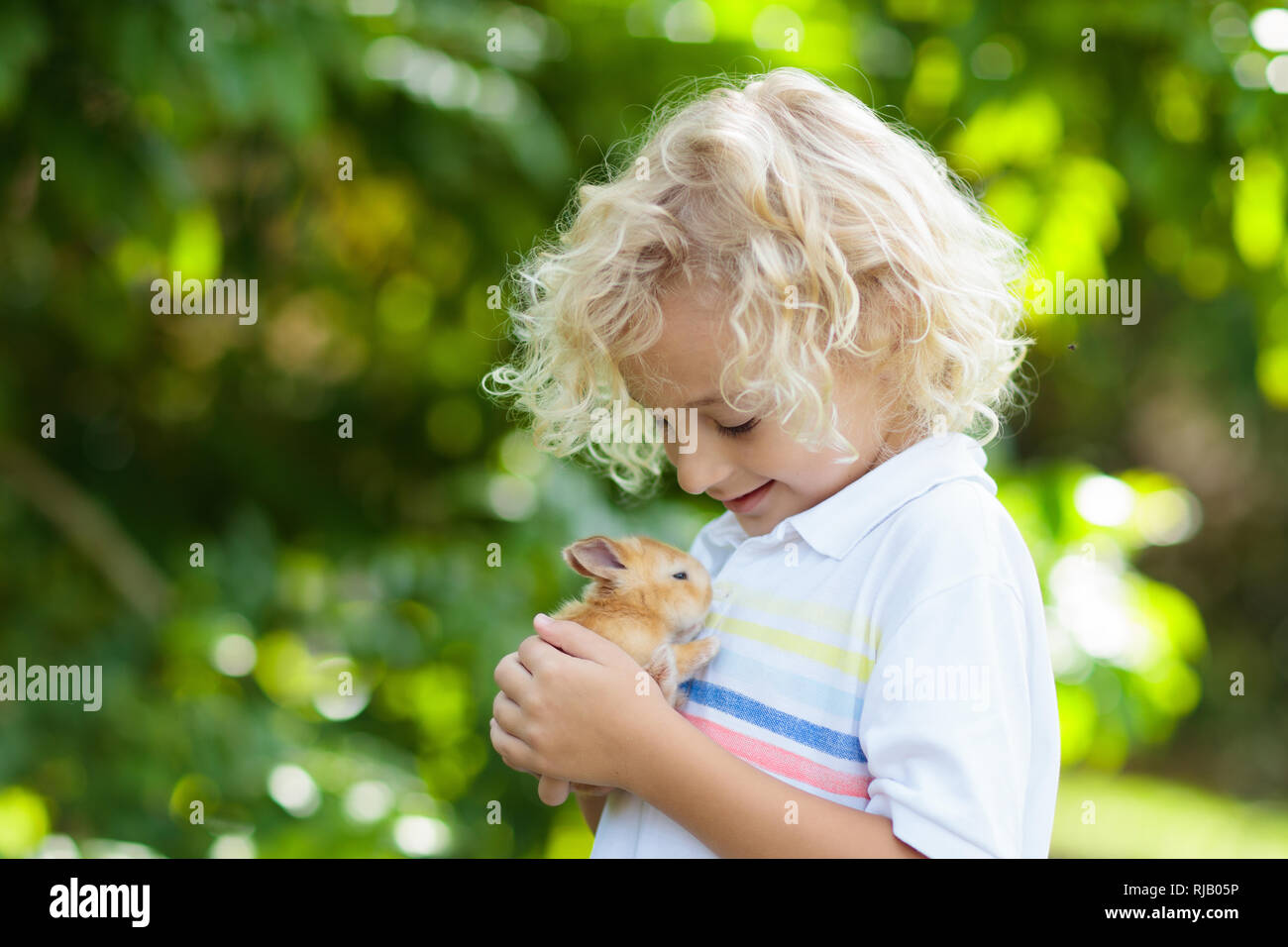 Child playing with white rabbit. Little boy feeding and petting white ...