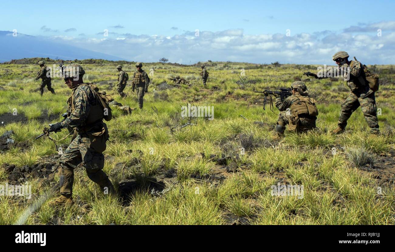 Lava viper hi-res stock photography and images - Alamy