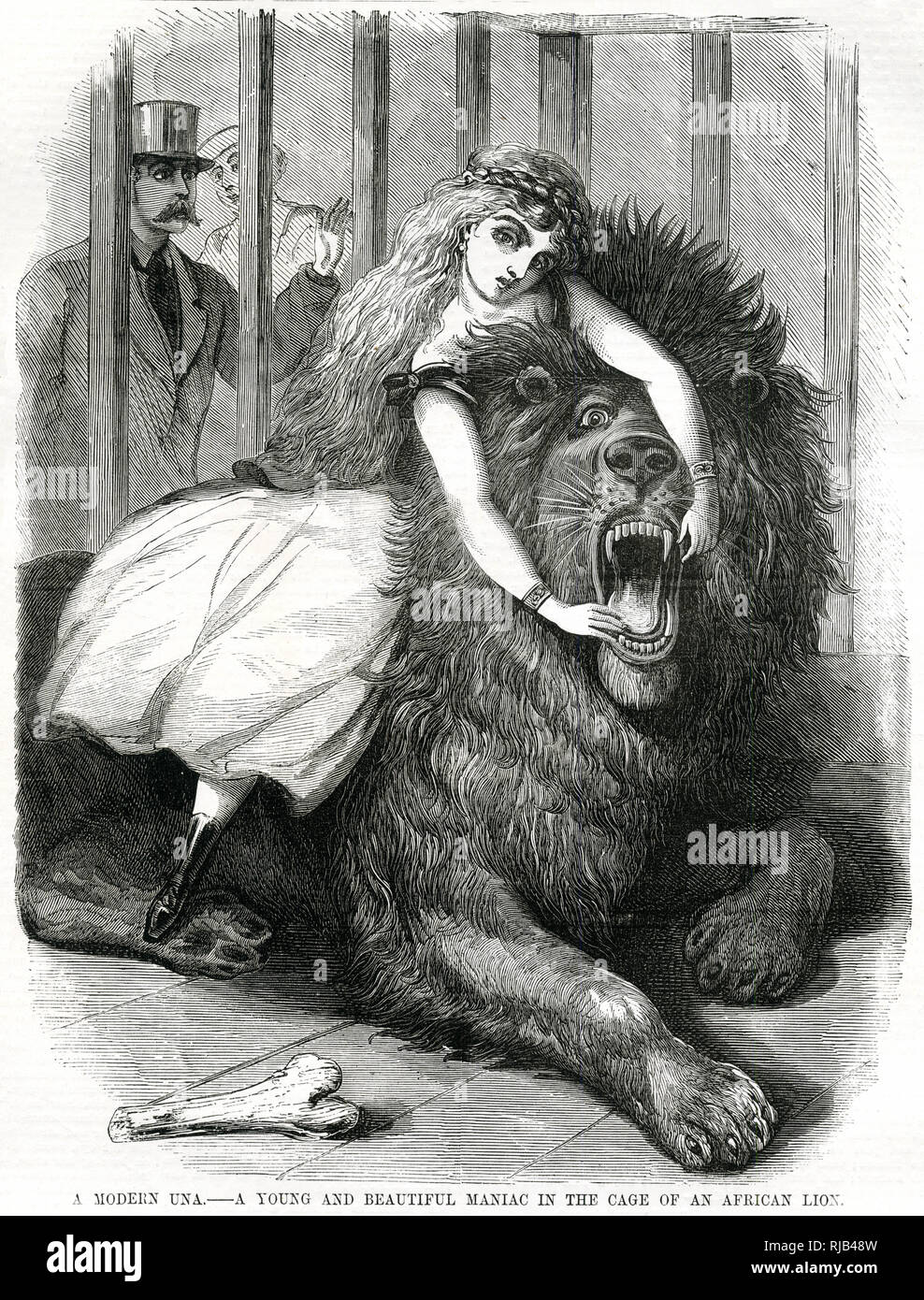 Lion enters hi-res stock photography and images - Alamy