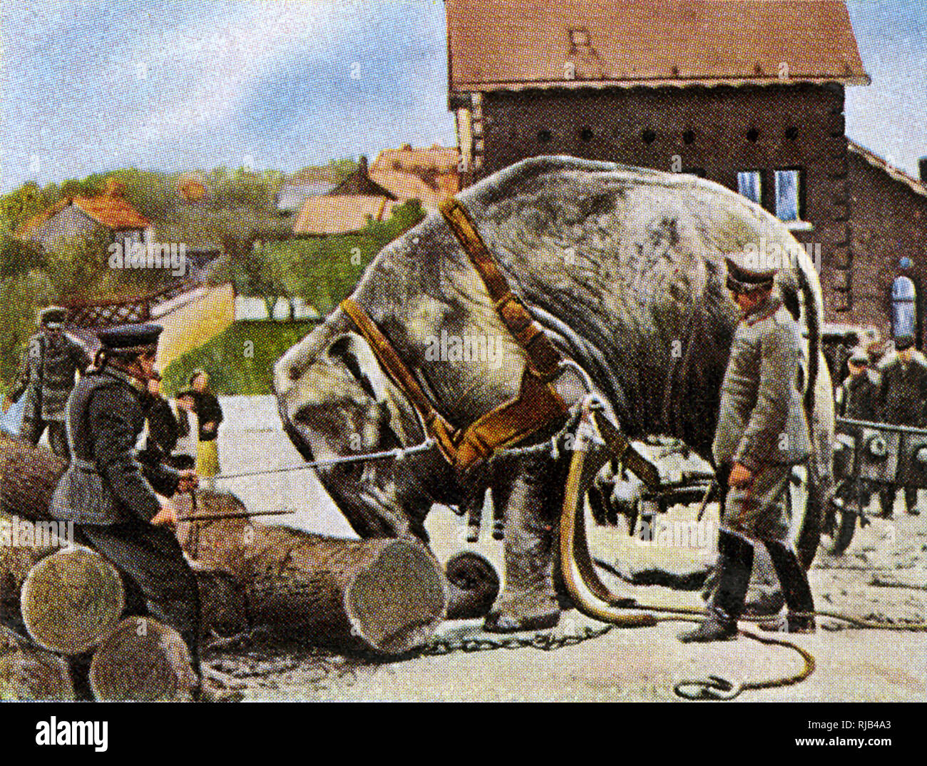 Elephant with soldiers hi-res stock photography and images - Alamy