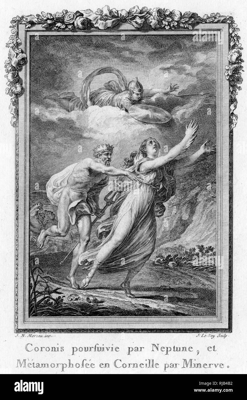 CORONIS BECOMES A CROW Stock Photo - Alamy