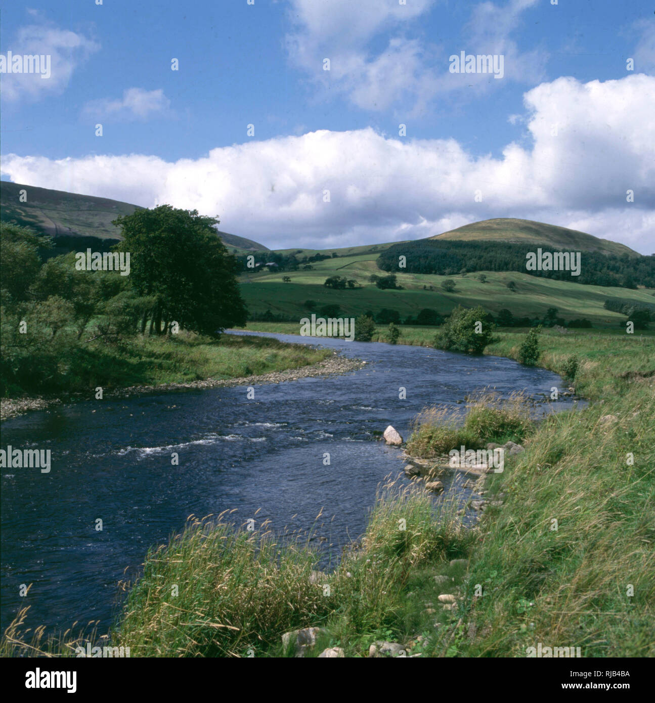 The River Hodder near Dunsop Bridge, in the lovely Forest of Bowland ...