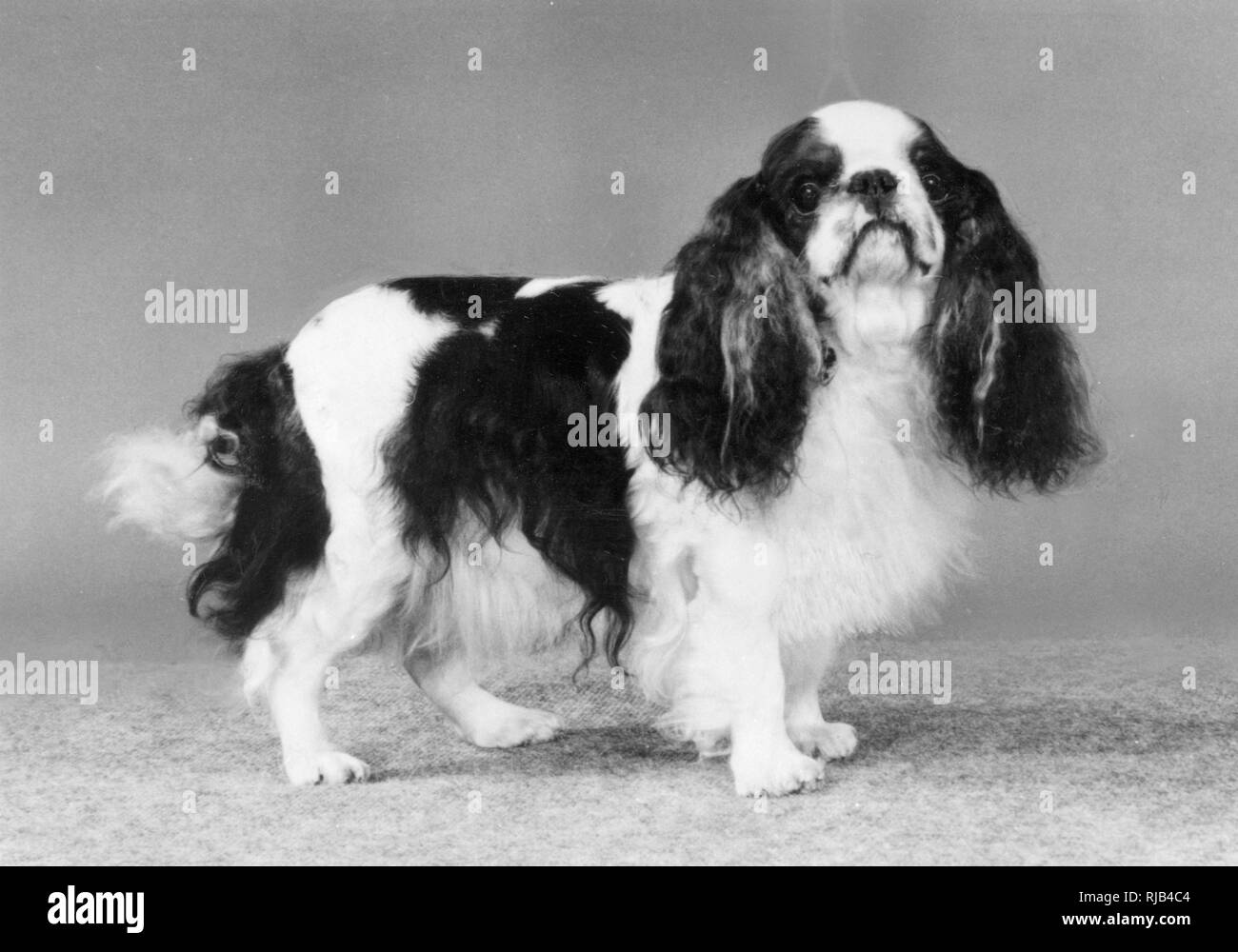 Hugg hi-res stock photography and images - Alamy