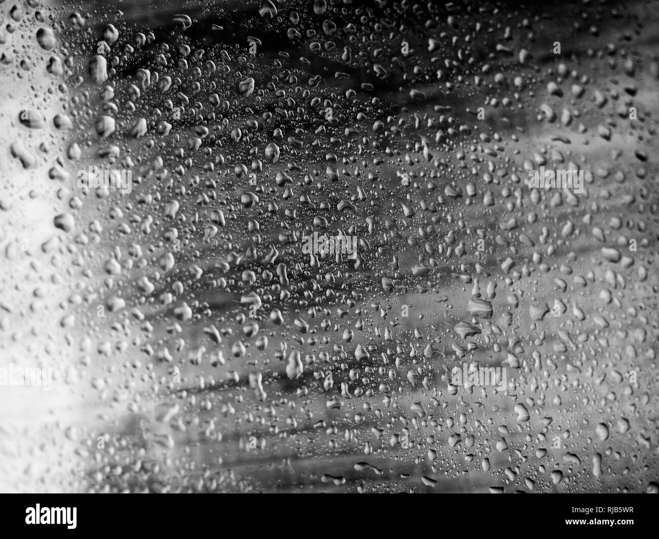 water drops closeup as background and texture Stock Photo - Alamy