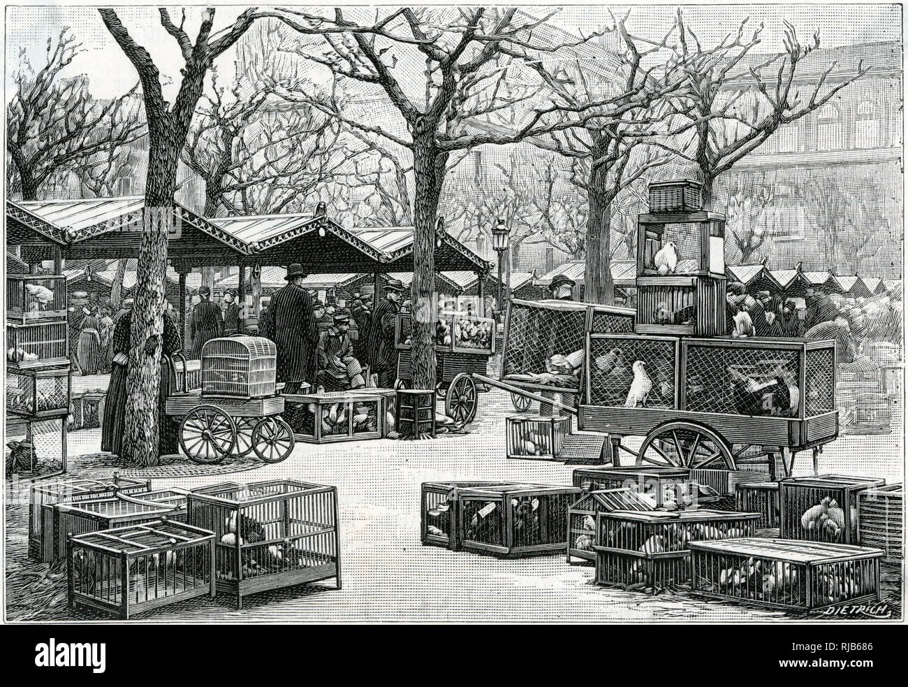 Bird Market, Paris, France Stock Photo - Alamy
