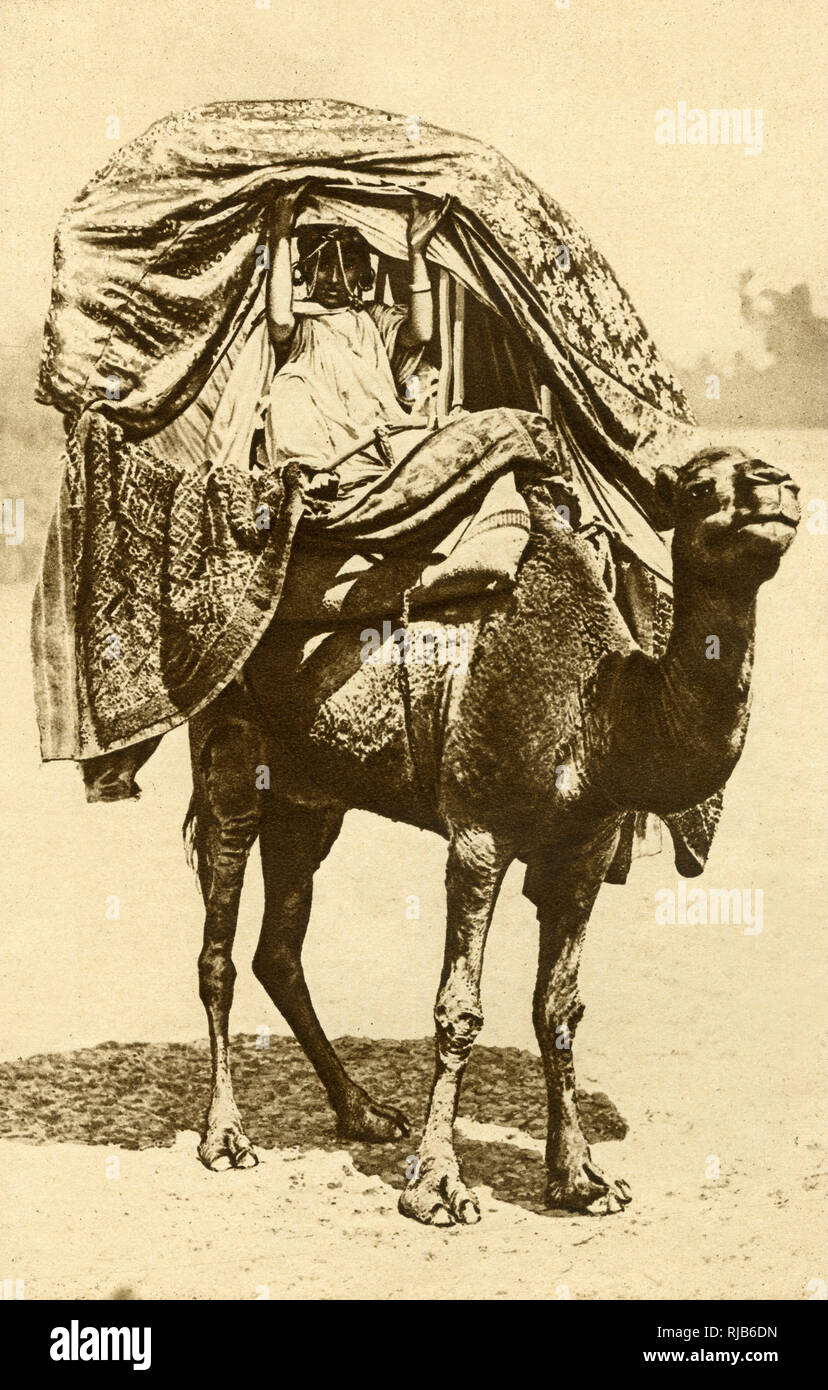 Saharan woman on a camel, Algeria, North Africa Stock Photo - Alamy