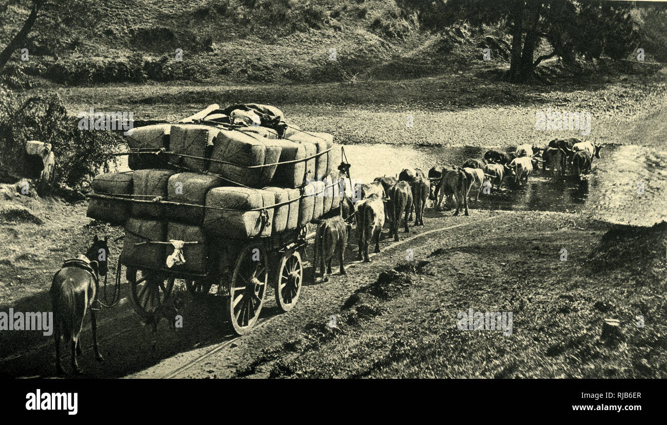 Bales of wool australia hi-res stock photography and images - Alamy
