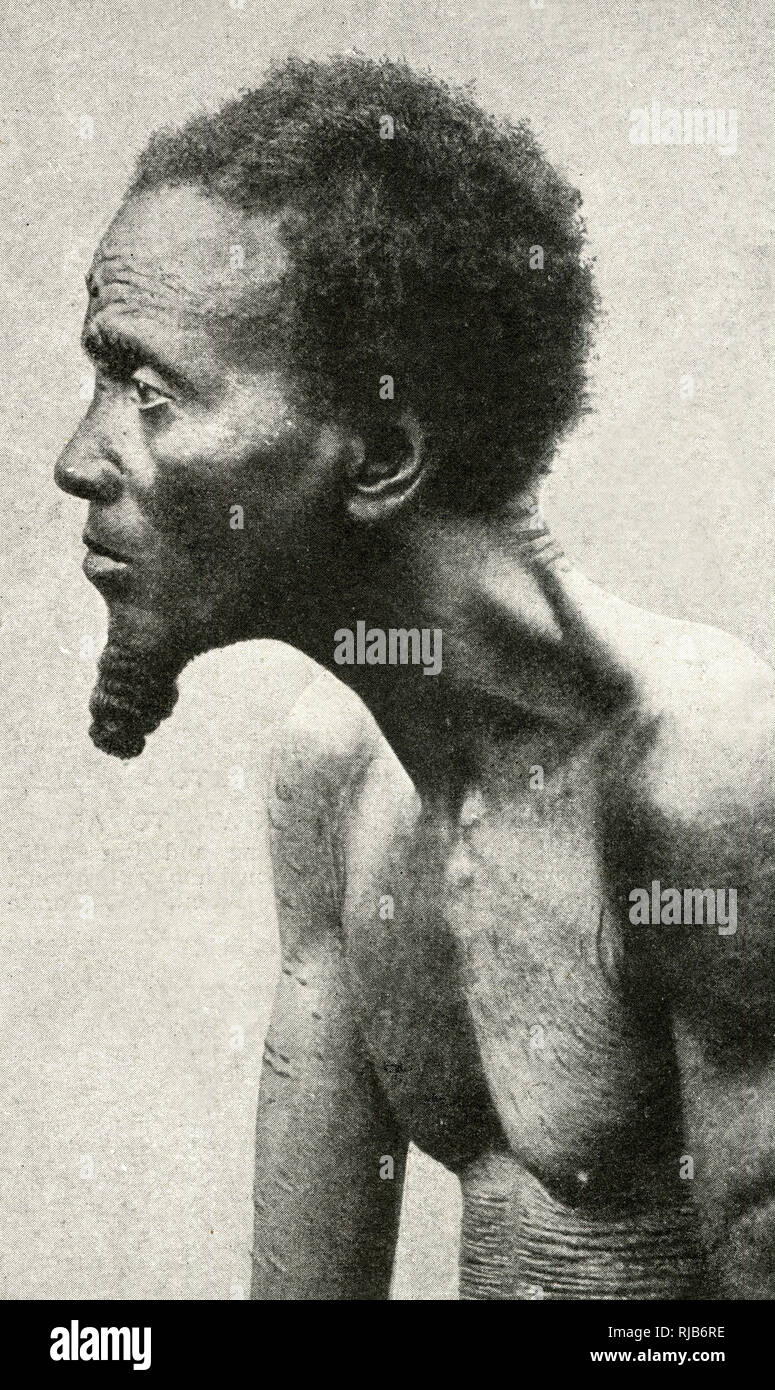 Tribal chief, Belgian Congo, Central Africa Stock Photo - Alamy