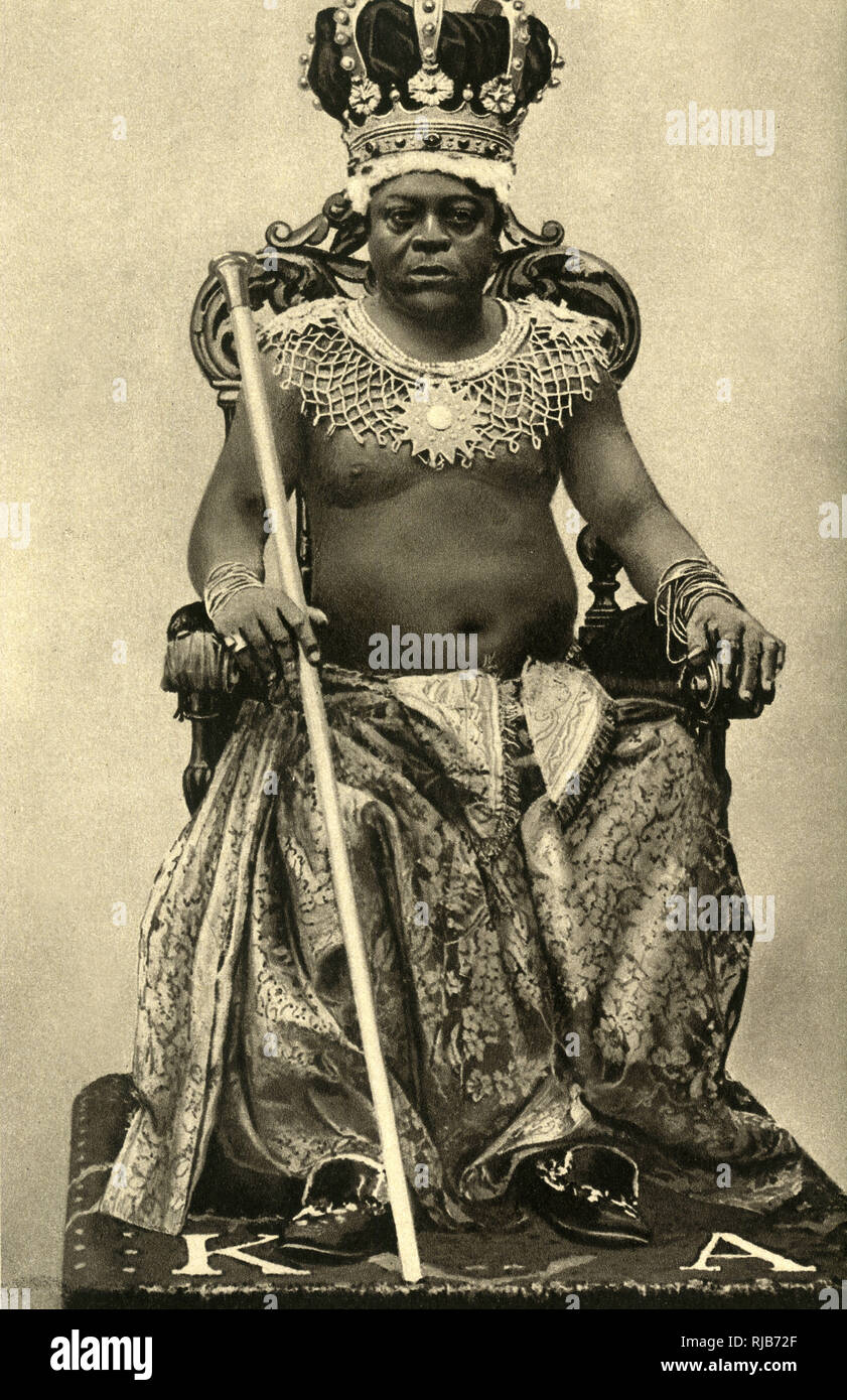 African King | atelier-yuwa.ciao.jp